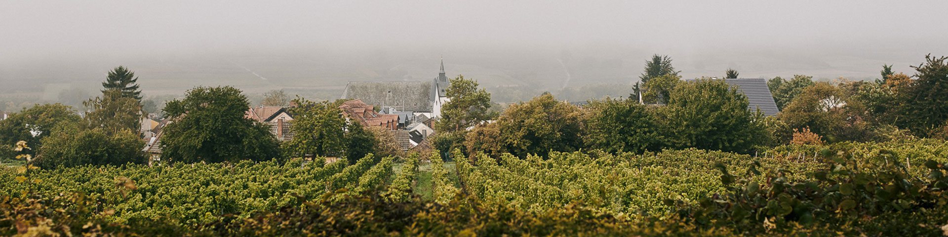 Weingut Breidscheid
